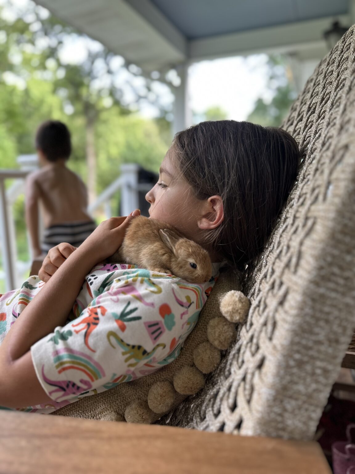 Raising Rabbits In a Colony (Pros and Cons) - The Kummer Homestead