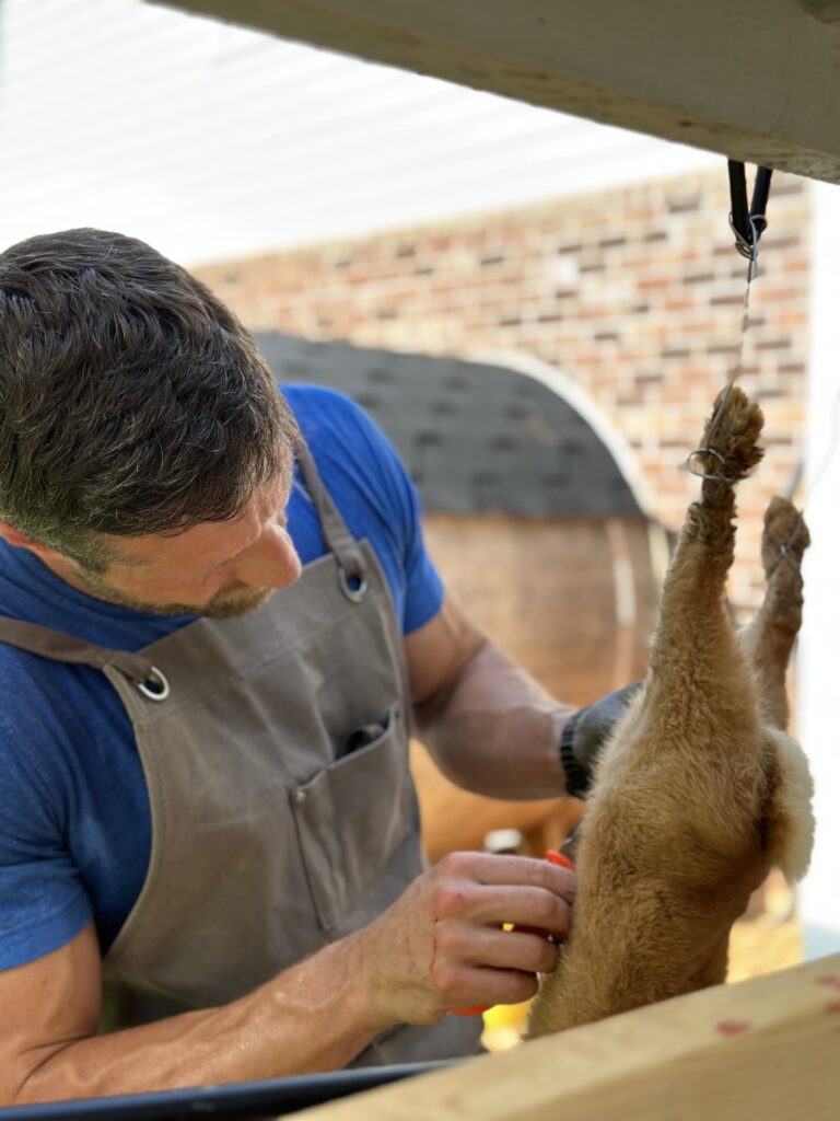 Raising Rabbits In a Colony (Pros and Cons) - The Kummer Homestead